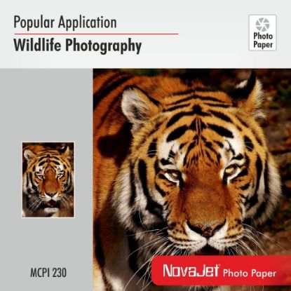 TechNova Imaging Systems. Digital Print Media