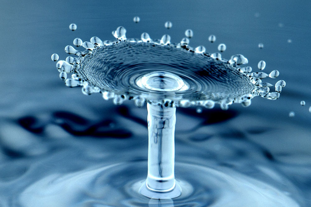 TechNova Imaging Systems