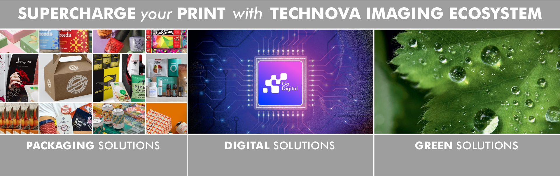 TechNova Imaging Systems.